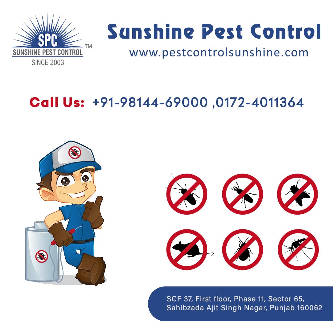 We Treat Your Home against The Annoying Pests. - Sunshine Pest Control ...