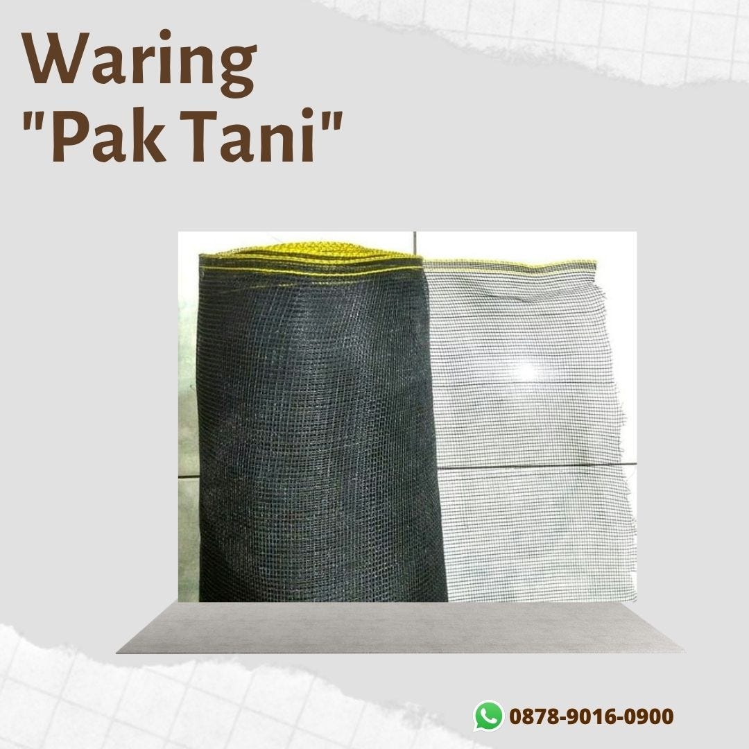Waring Pak Tani - Waringjaring - Medium