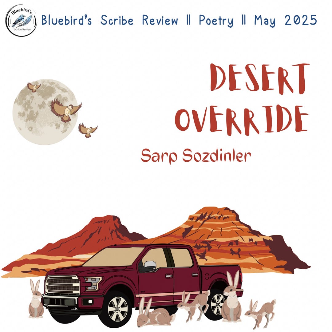 DESERT OVERRIDE (Poetry by Sarp Sozdinler) - Bluebird’s Scribe Review ...