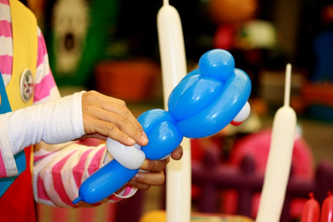 Balloon Artist Adelaide - Bringmagicsa - Medium