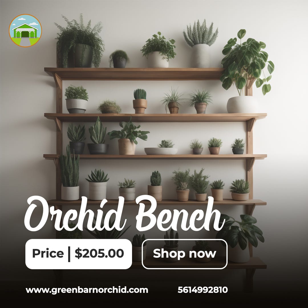 Discover the Beauty of Orchid Benches for Your Home | Green Barnのブログ ...