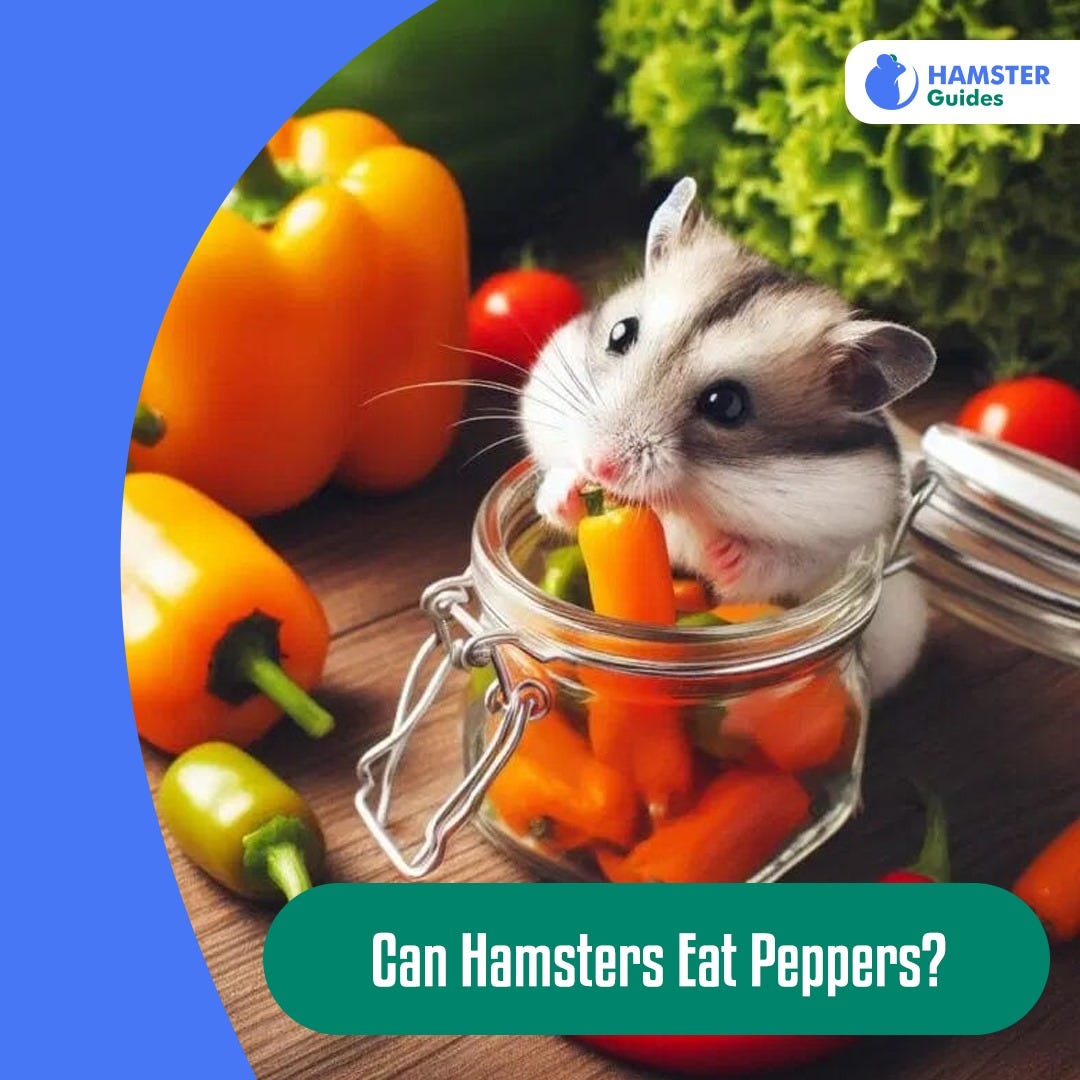 Can Hamsters Eat Peppers? - Hamster Guides - Medium
