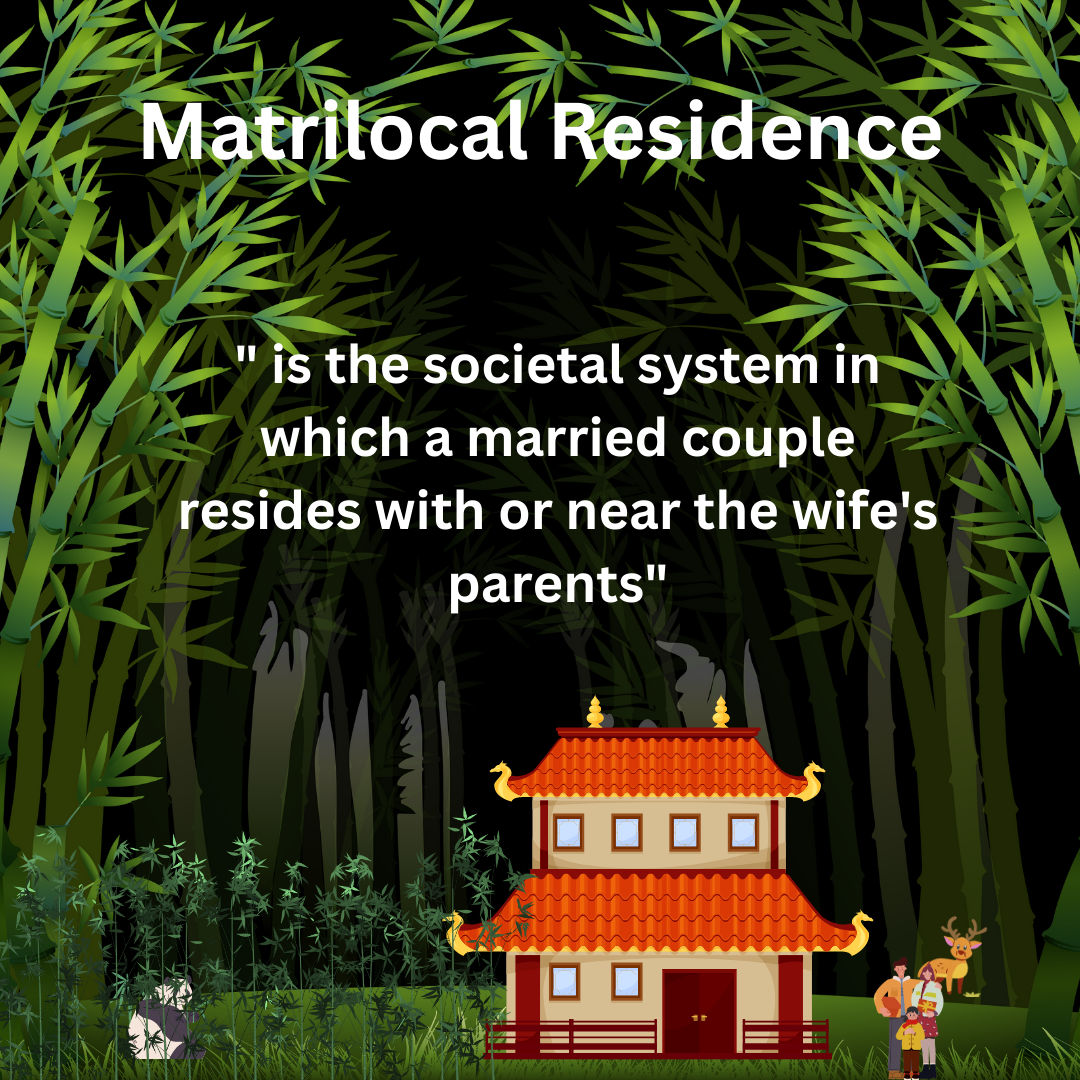 Matri-What??Part II: Matri- Local | by Shanté Nixon | ILLUMINATION | Medium