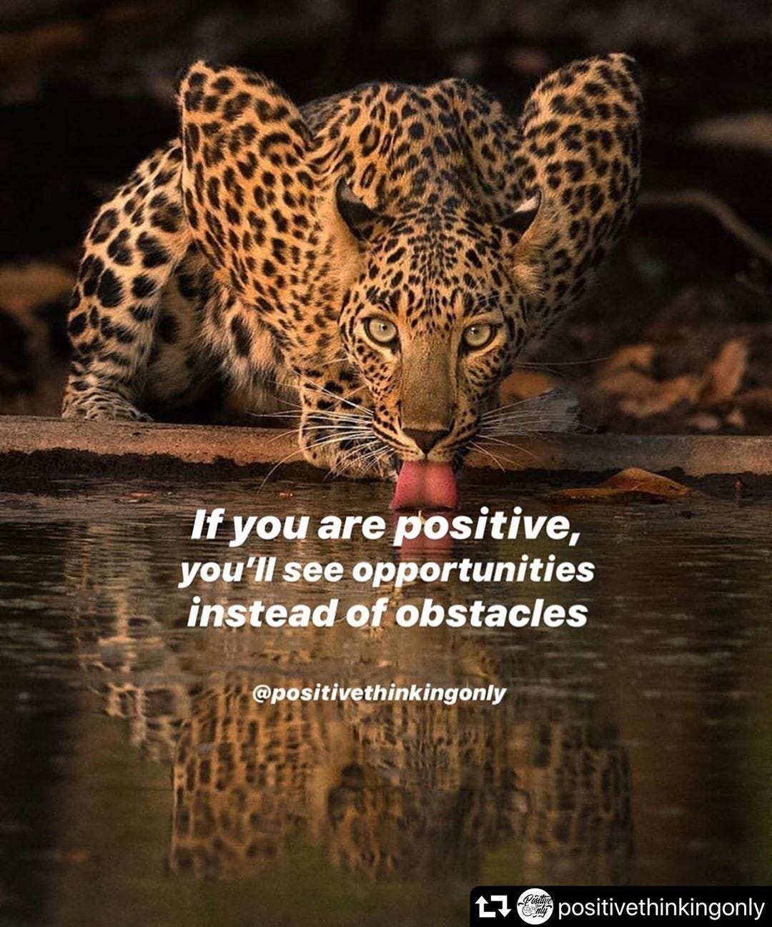 “If you are positive, you’ll see opportunities instead of obstacles ...
