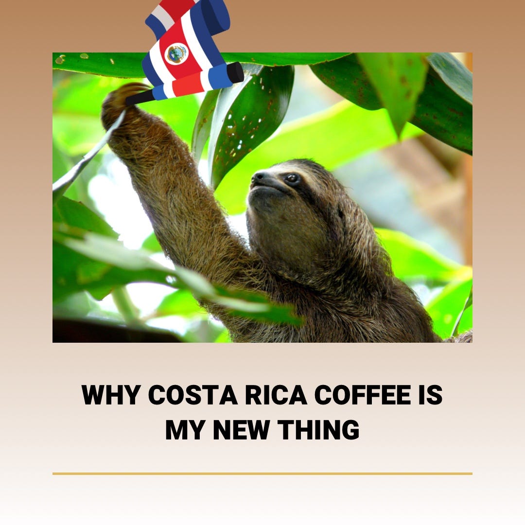 Costa Rica Terrazu is my new thing | by Yogev Kimor | Medium