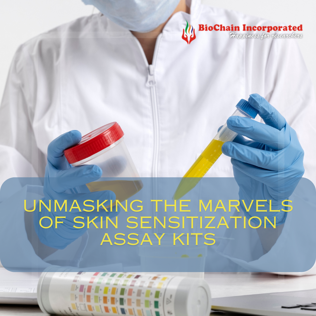 Unmasking the Marvels of Skin Sensitization Assay Kits | by BiochainInc ...