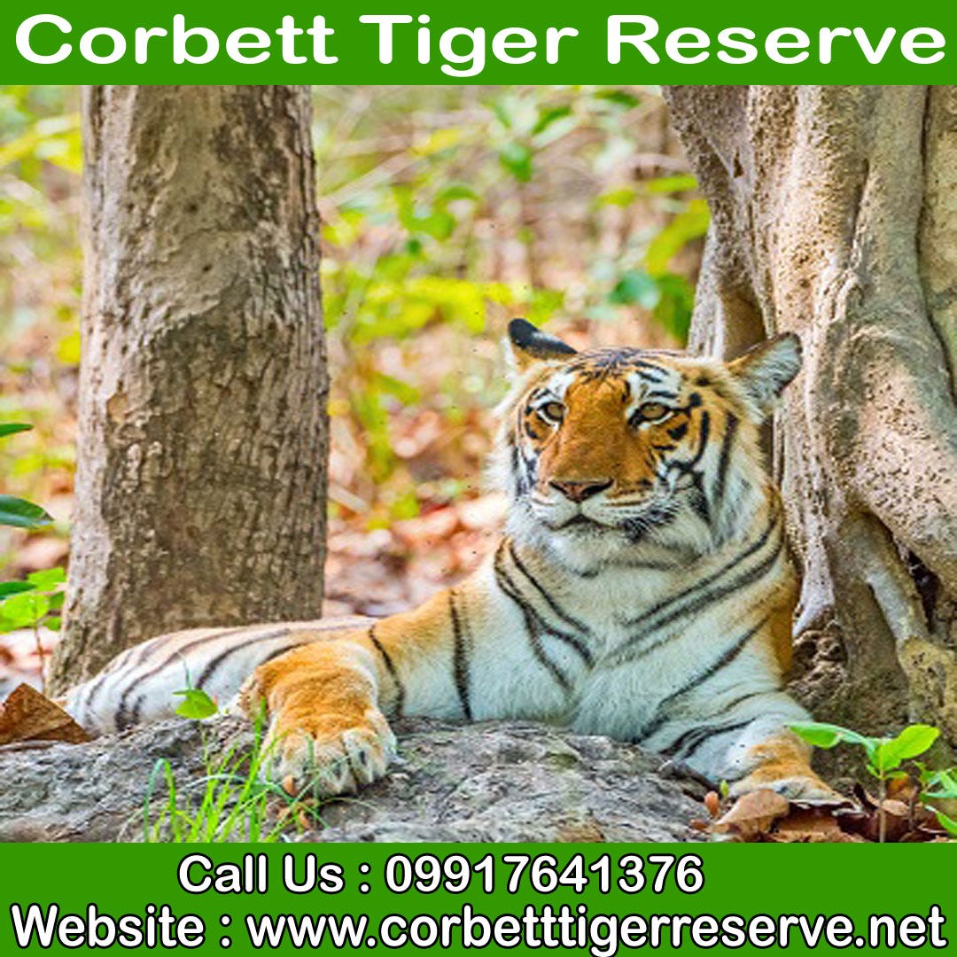 Corbett National ParkCorbett National Park — Corbett Tiger Reserve ...