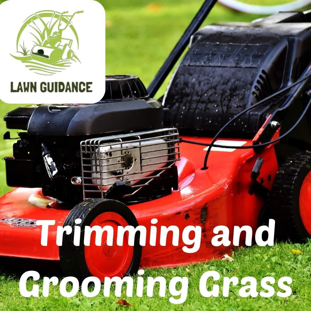 A lawn mower is a specialized tool used for trimming and grooming grass ...