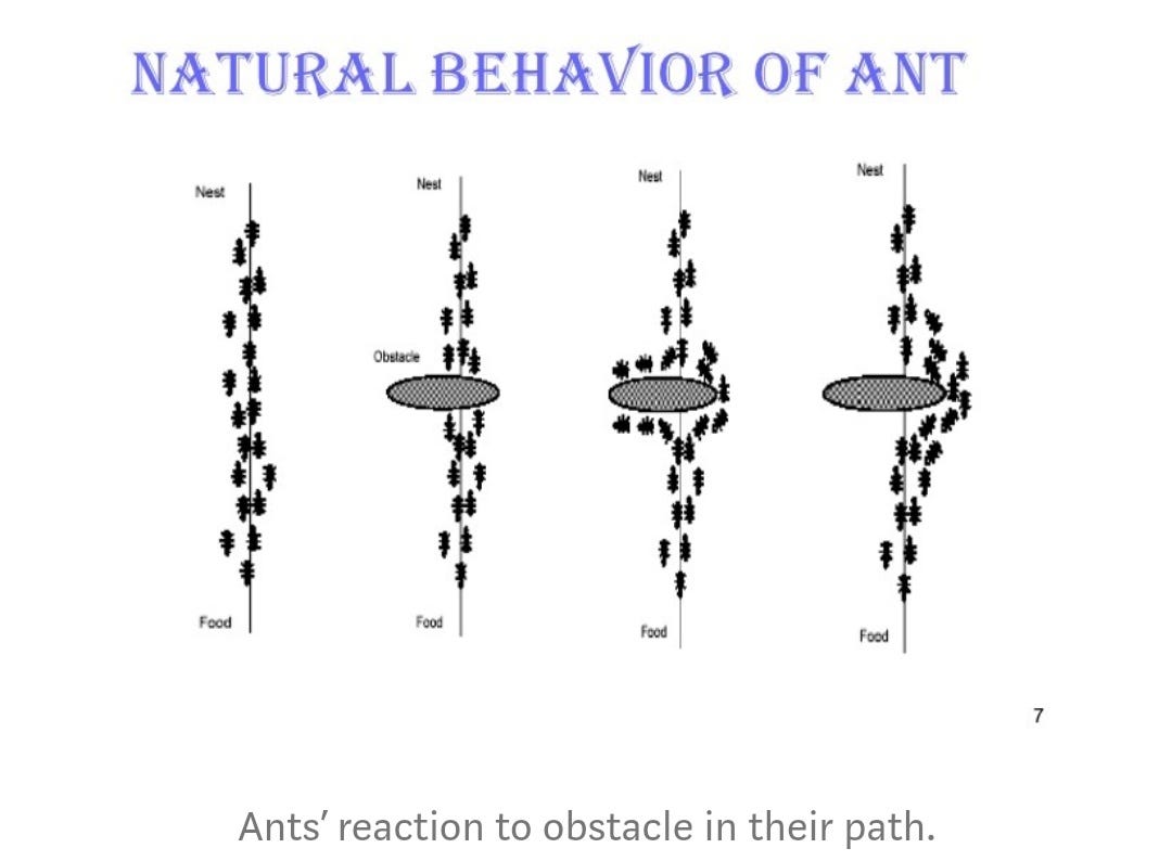 Ant Colony Optimization Ppt