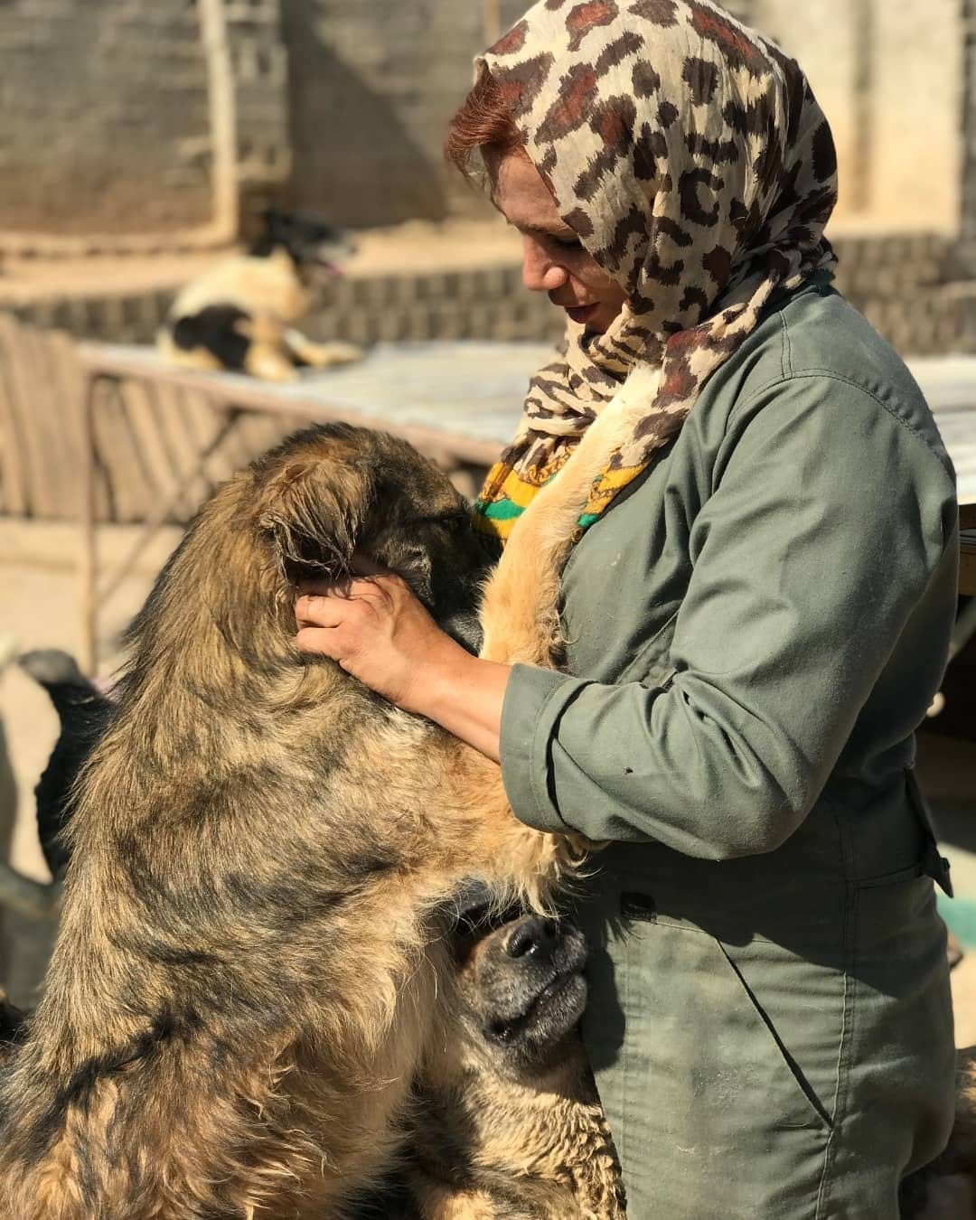 A better world sheltered by the coexistence of humans and animals ...