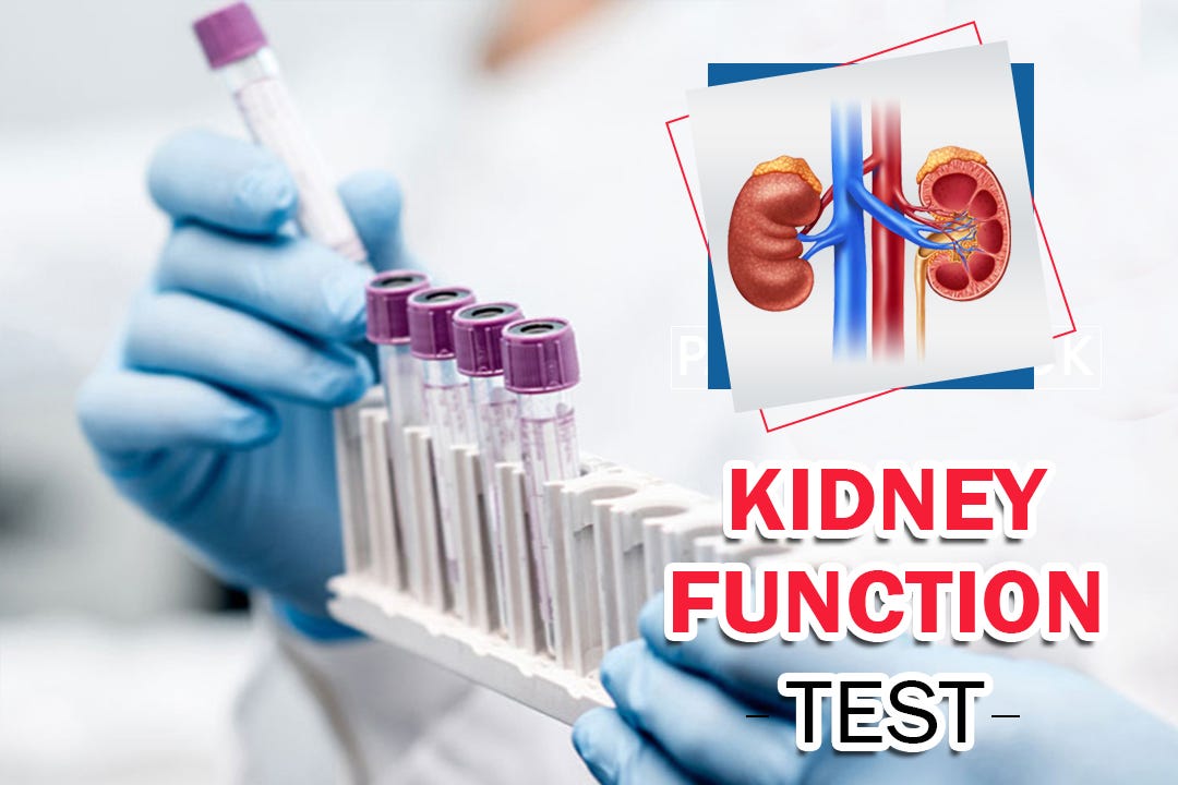 Kidney Function Tests Market — Forecast(2022–2027) | by Sravanthi ...