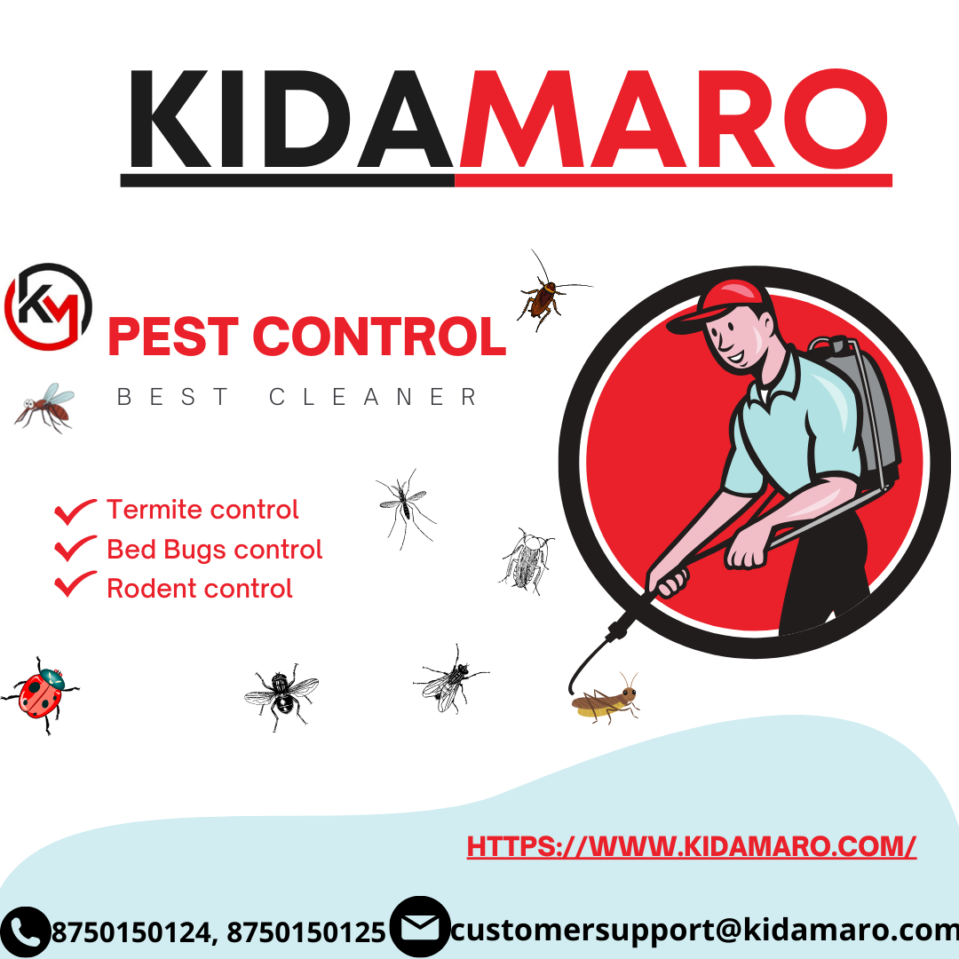 Services - Kida Maro - Medium