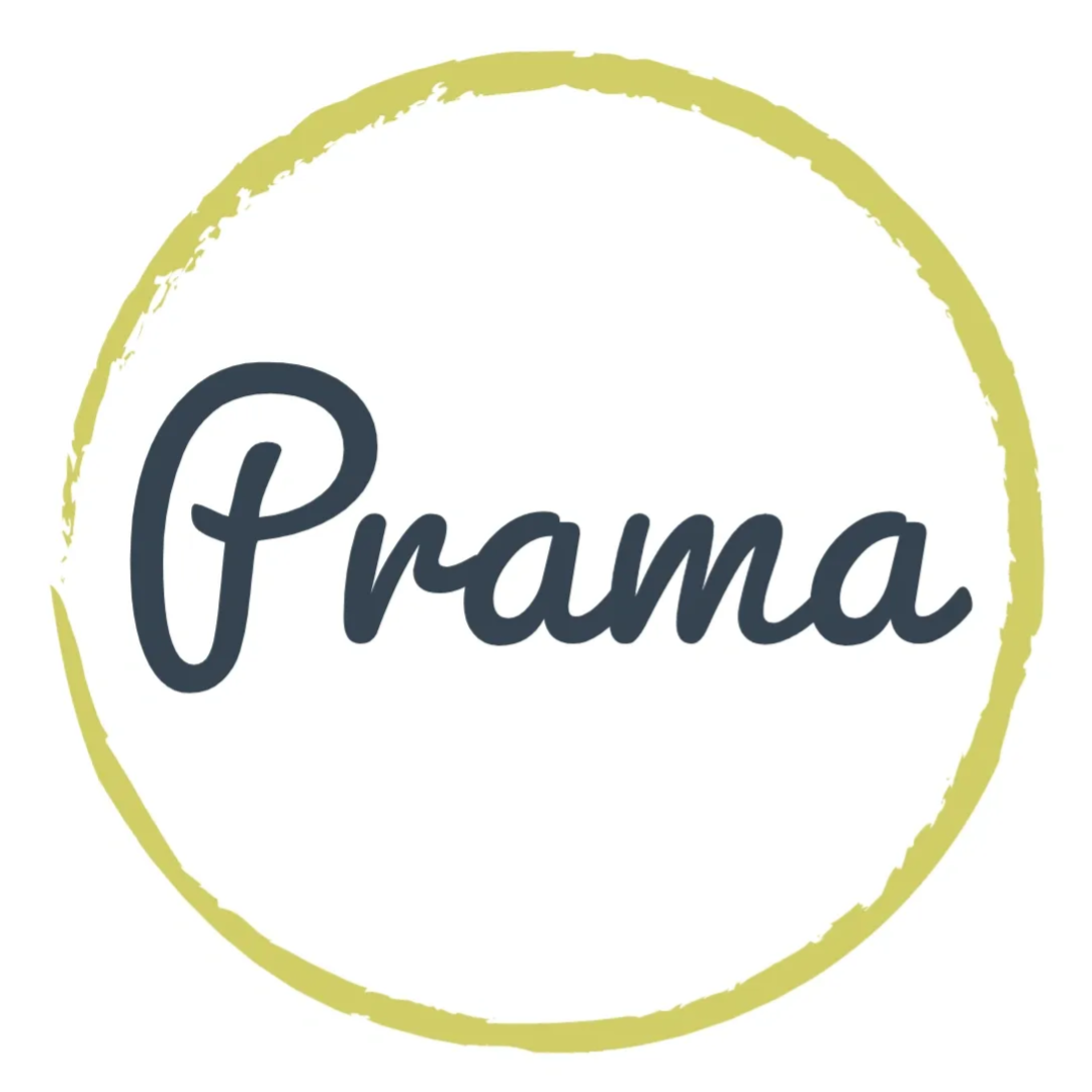 Prama Blogs