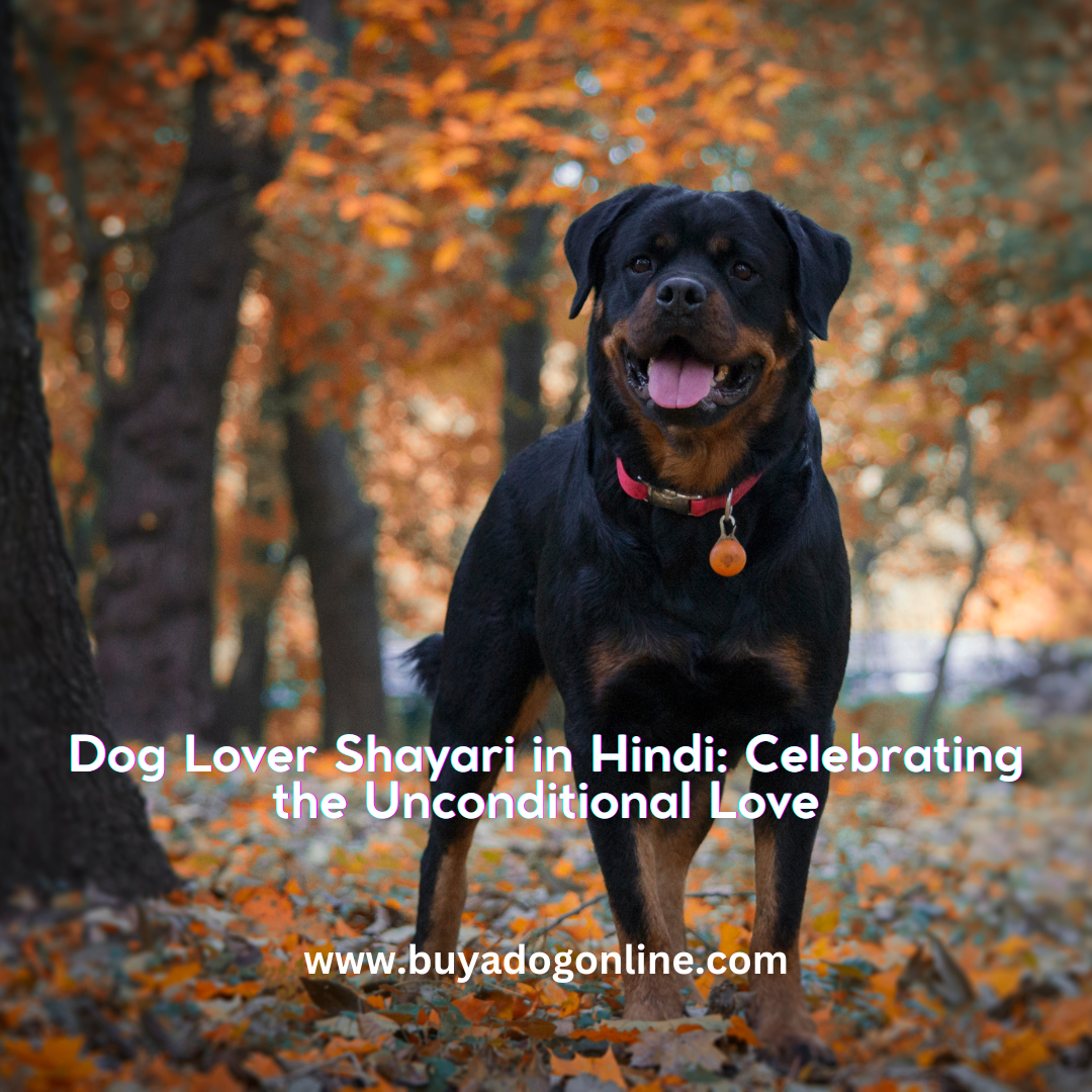 Dog Lover Shayari in Hindi: Celebrating the Unconditional Love | by ...