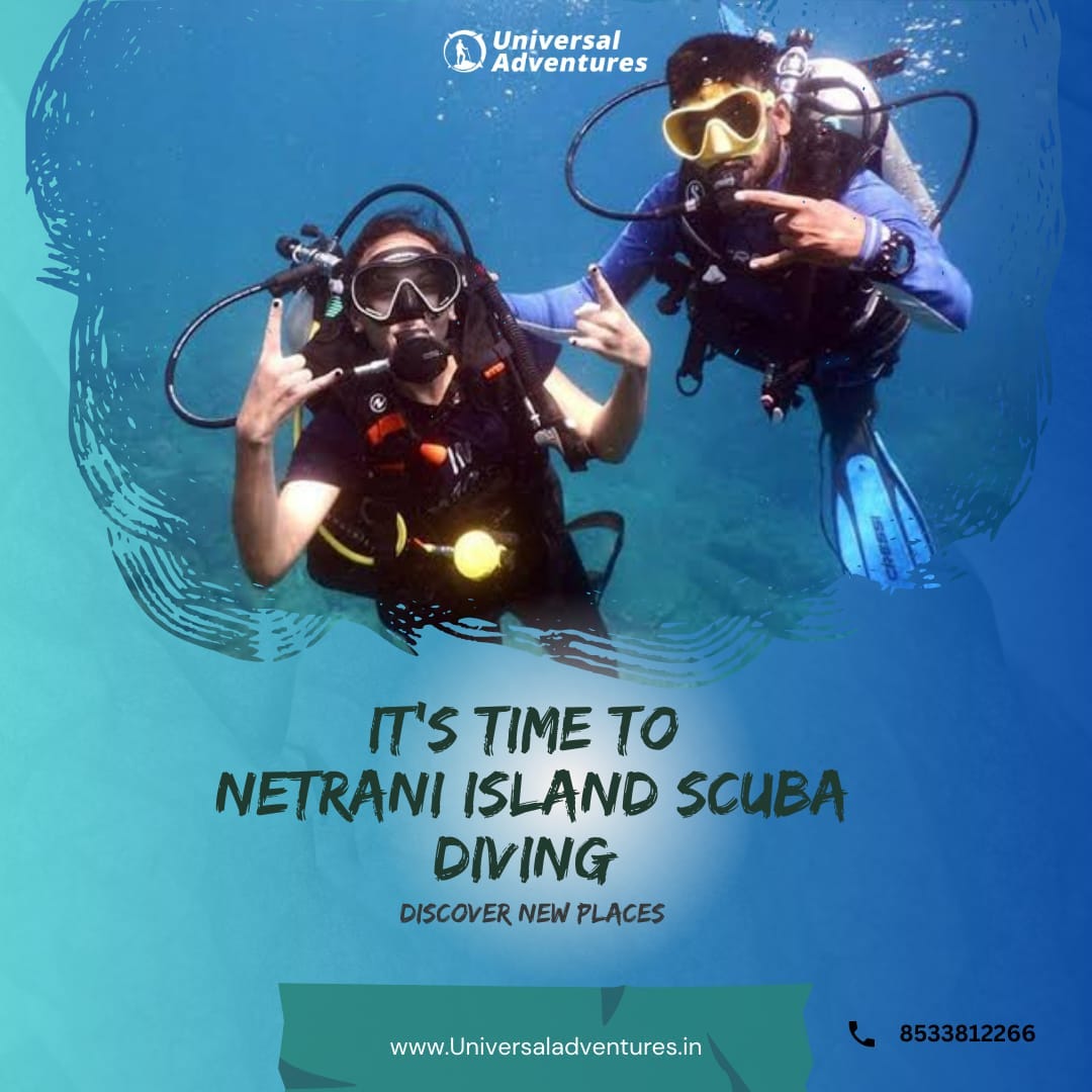 Besides Scuba, What else can you do on Netrani Island? | by Alok Roy ...