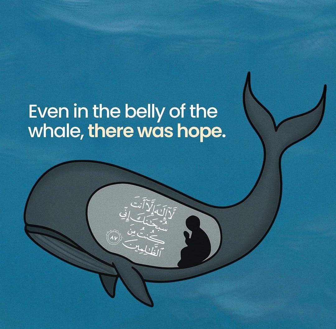 Even in the belly of the whale, hope survives! | by Aamira Thasneema ...