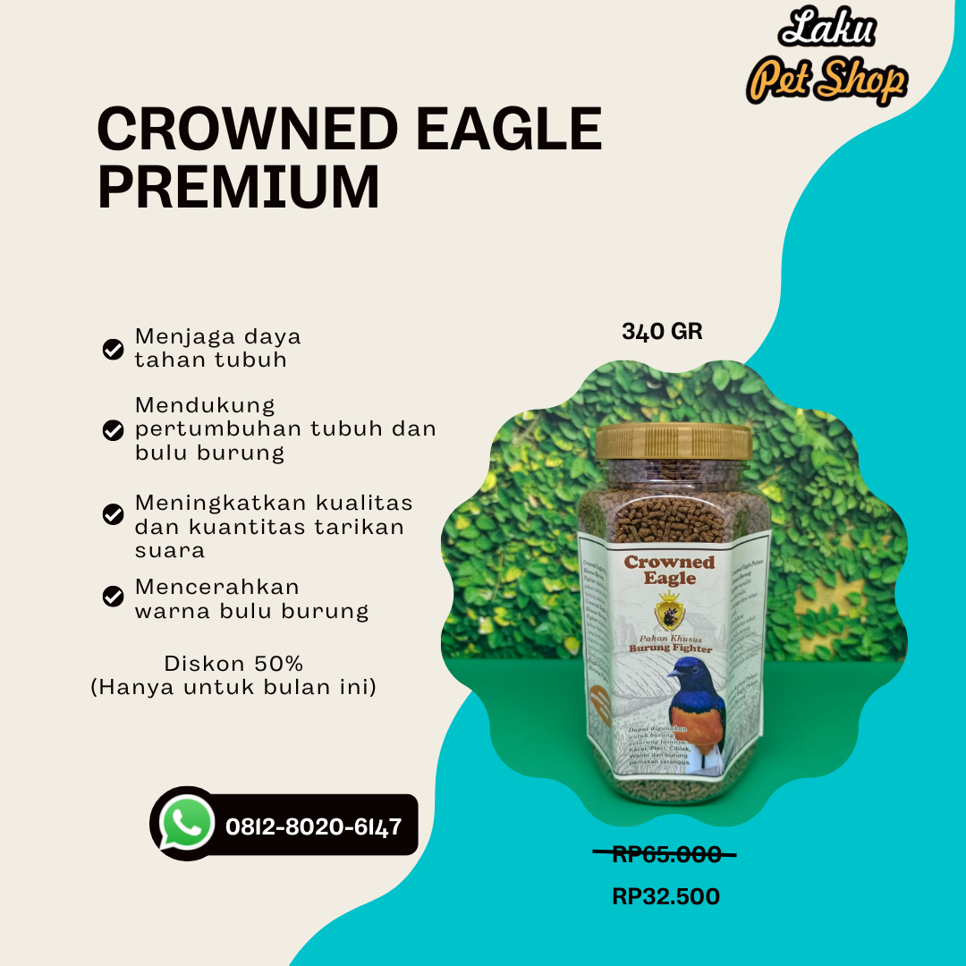 Jual Pakan Burung Murai. Terbaik | by Distribpakanlakupetshop | Medium