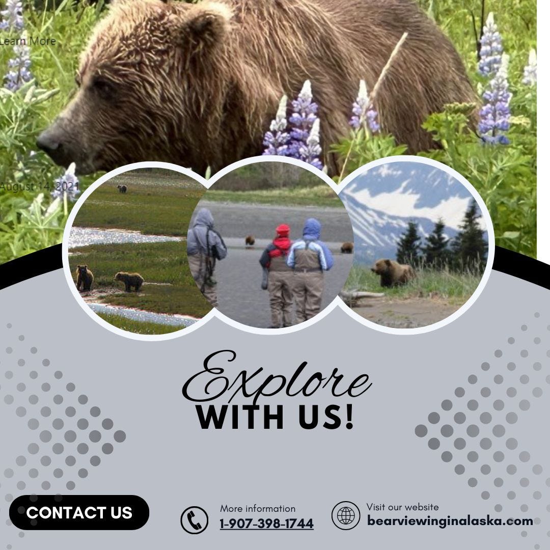 Bear Watching Tours in Alaska: 5 Tips for First Timers - Mel Erickson ...