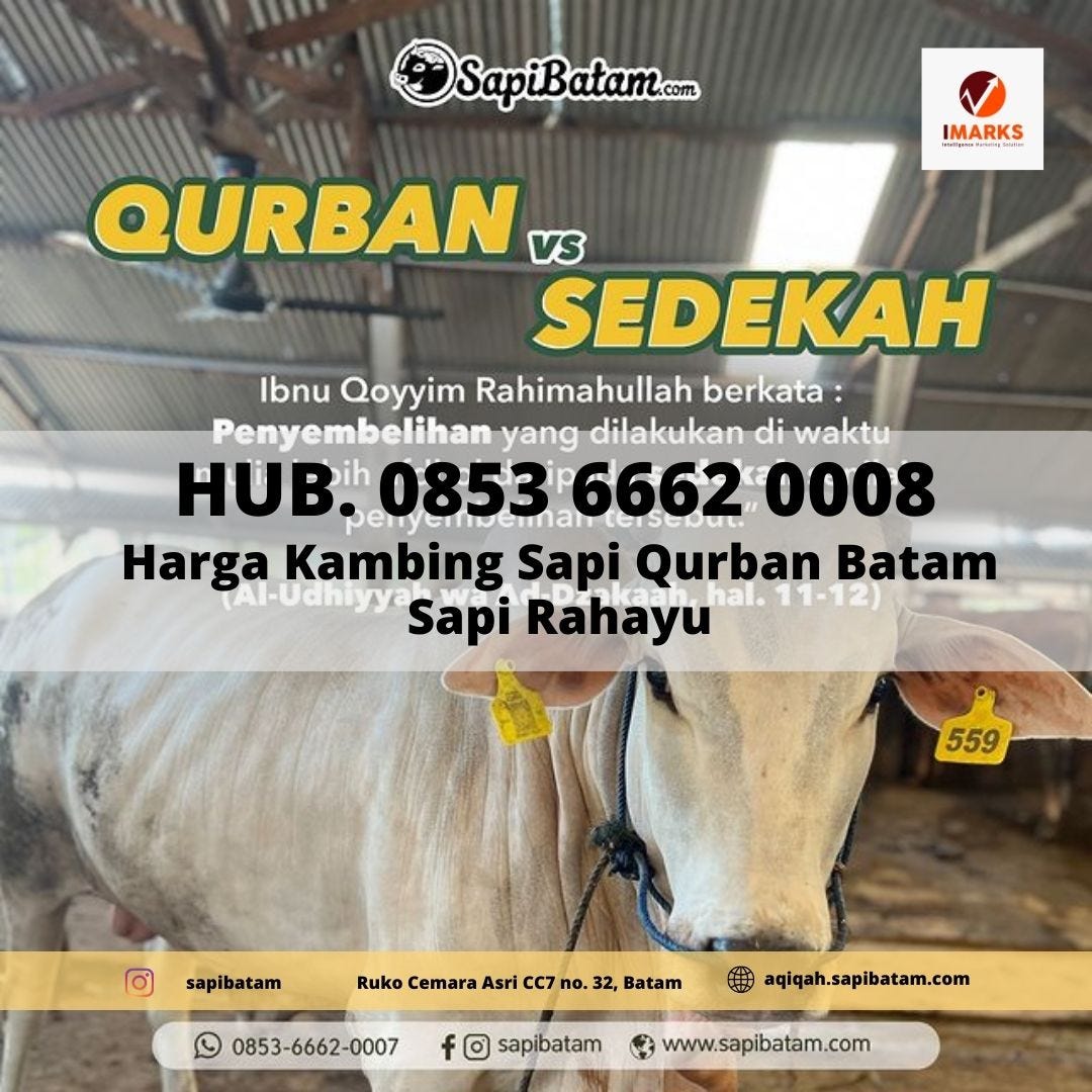 HARGA HEWAN QURBAN 2024 BATAM, Hub. 0853 6662 0008, Harga Hewan Qurban 2024 Termurah di Batam ...