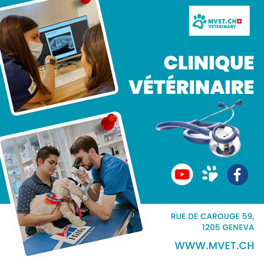 Clinique Vétérinaire - MVET.CH - Medium