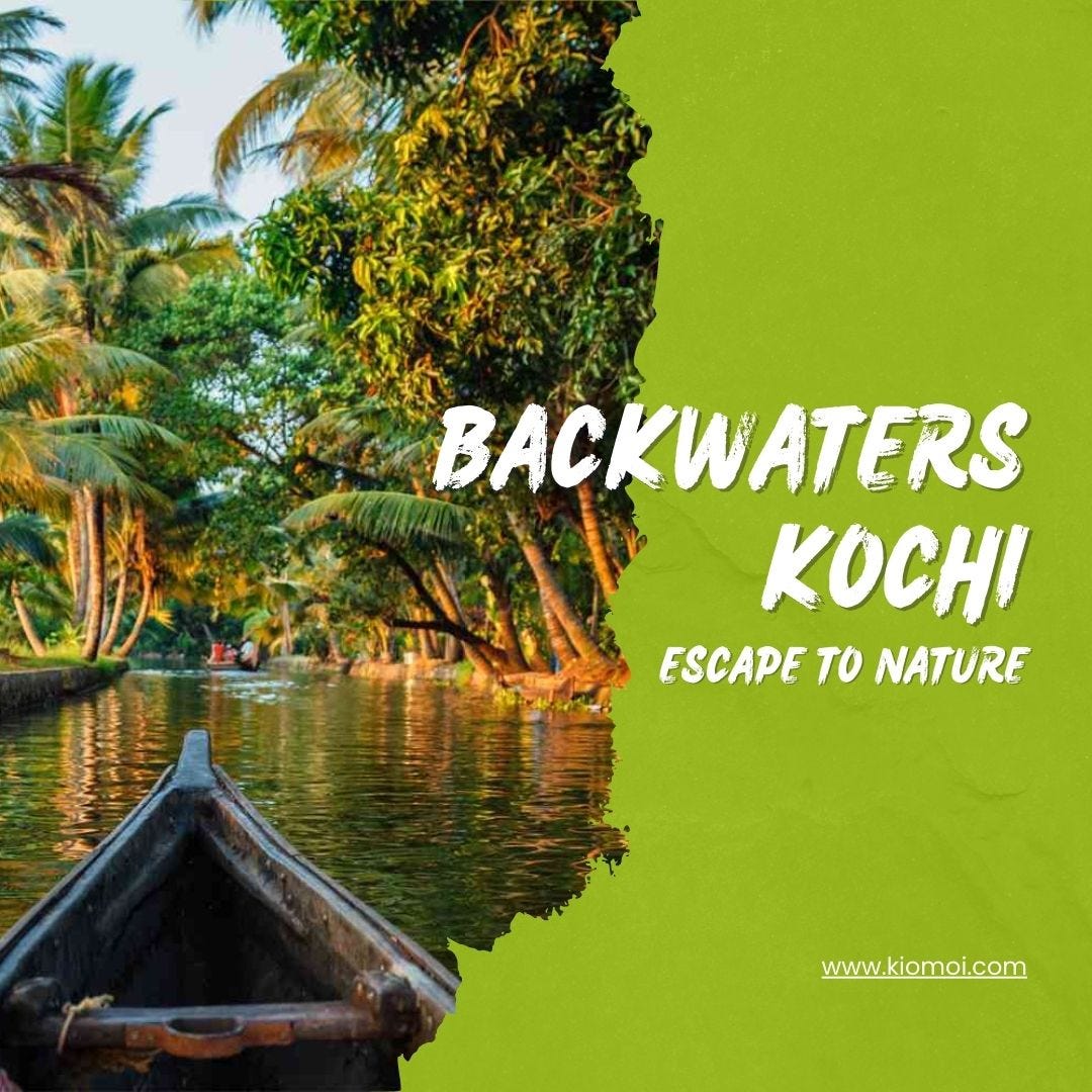 Discovering the Enchanting Kochi Backwaters | by Akash7084 | Oct, 2024 ...