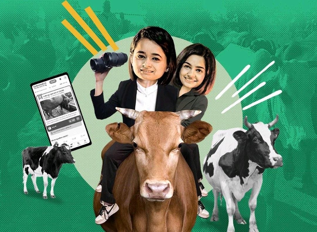 How Cattle Trading Apps are Revolutionizing India’s Agri-Business Landscape 🌾🐄 | by Ba Aswin ...