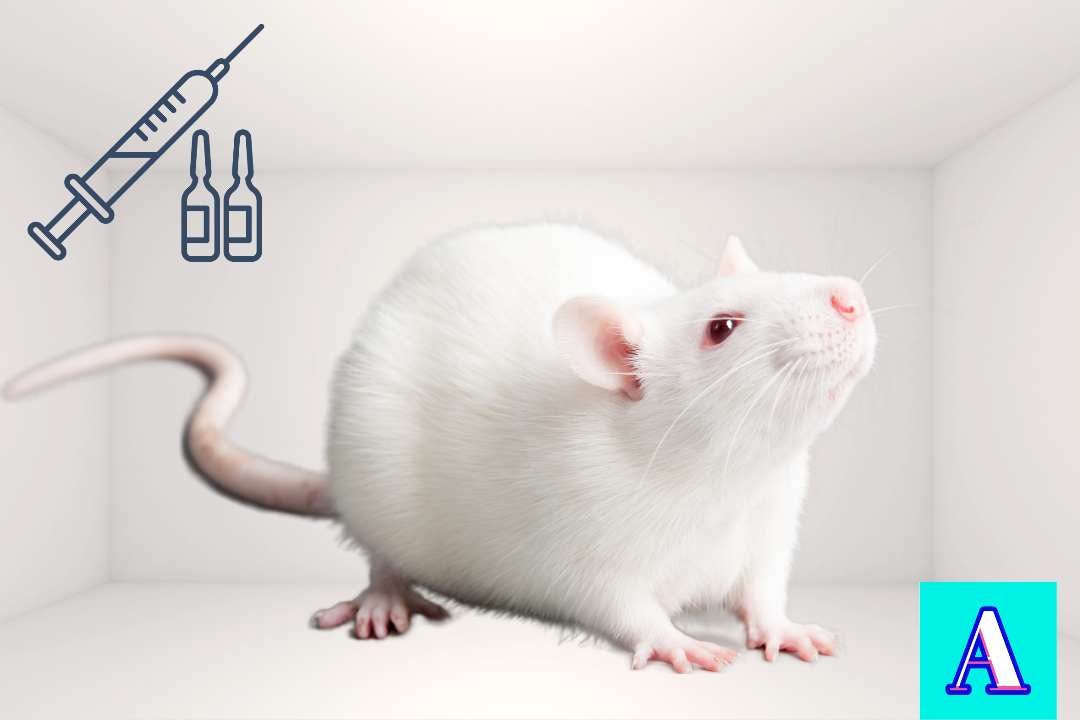 Japanese Scientists produced Mice from 2 dads for the first time ever ...