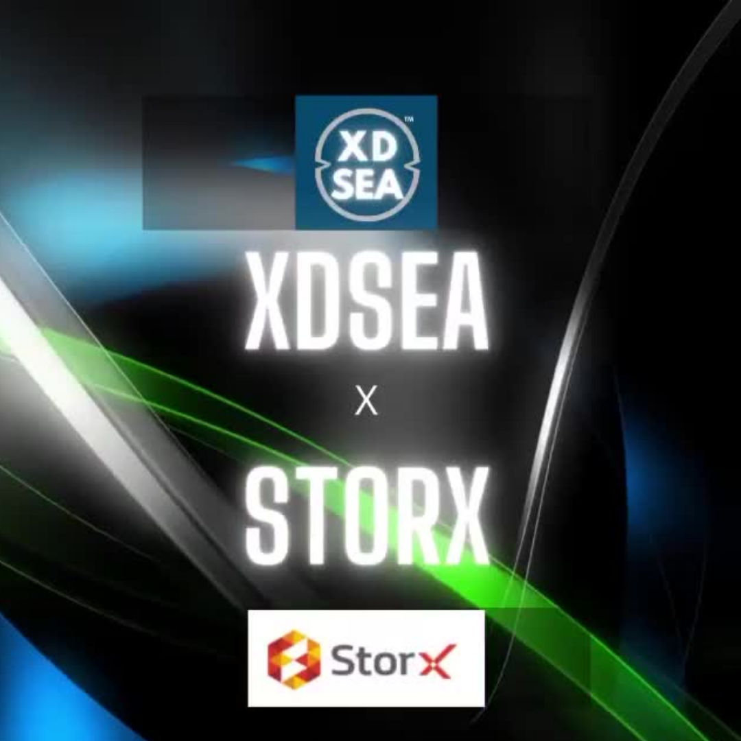 Decentralized Storage Provider StorX Network Partners with the NFT ...