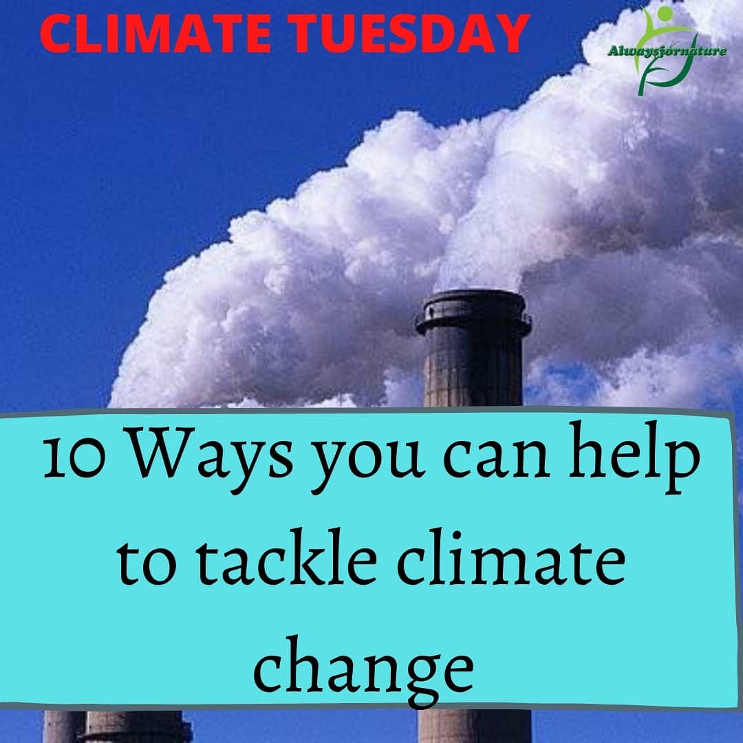 10 WAYS YOU CAN HELP TO STOP CLIMATE CHANGE | by Alwaysfornature | Medium