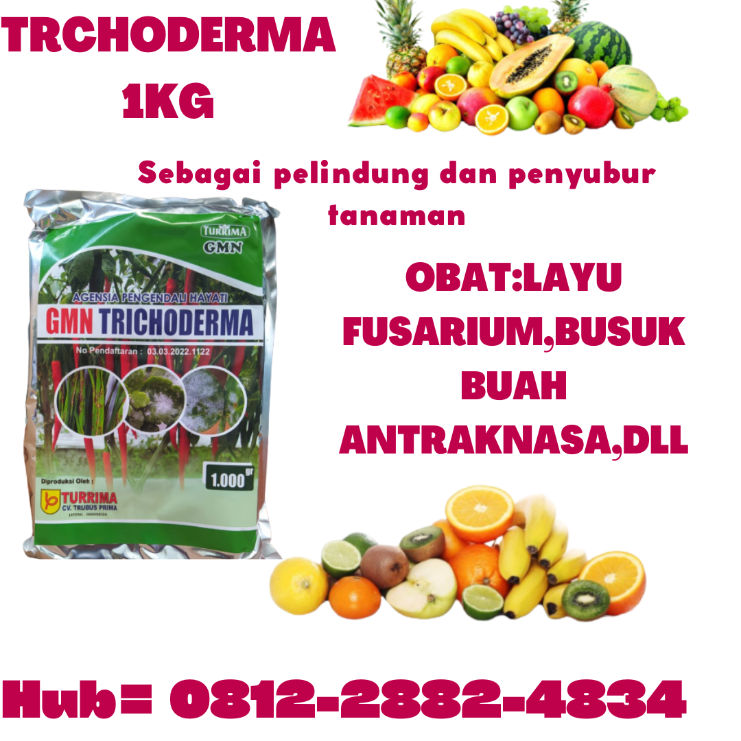 SUBUR! 0813–2747–3262 Produsen Trichoderma Untuk Durian Arosuka, Pabrik ...