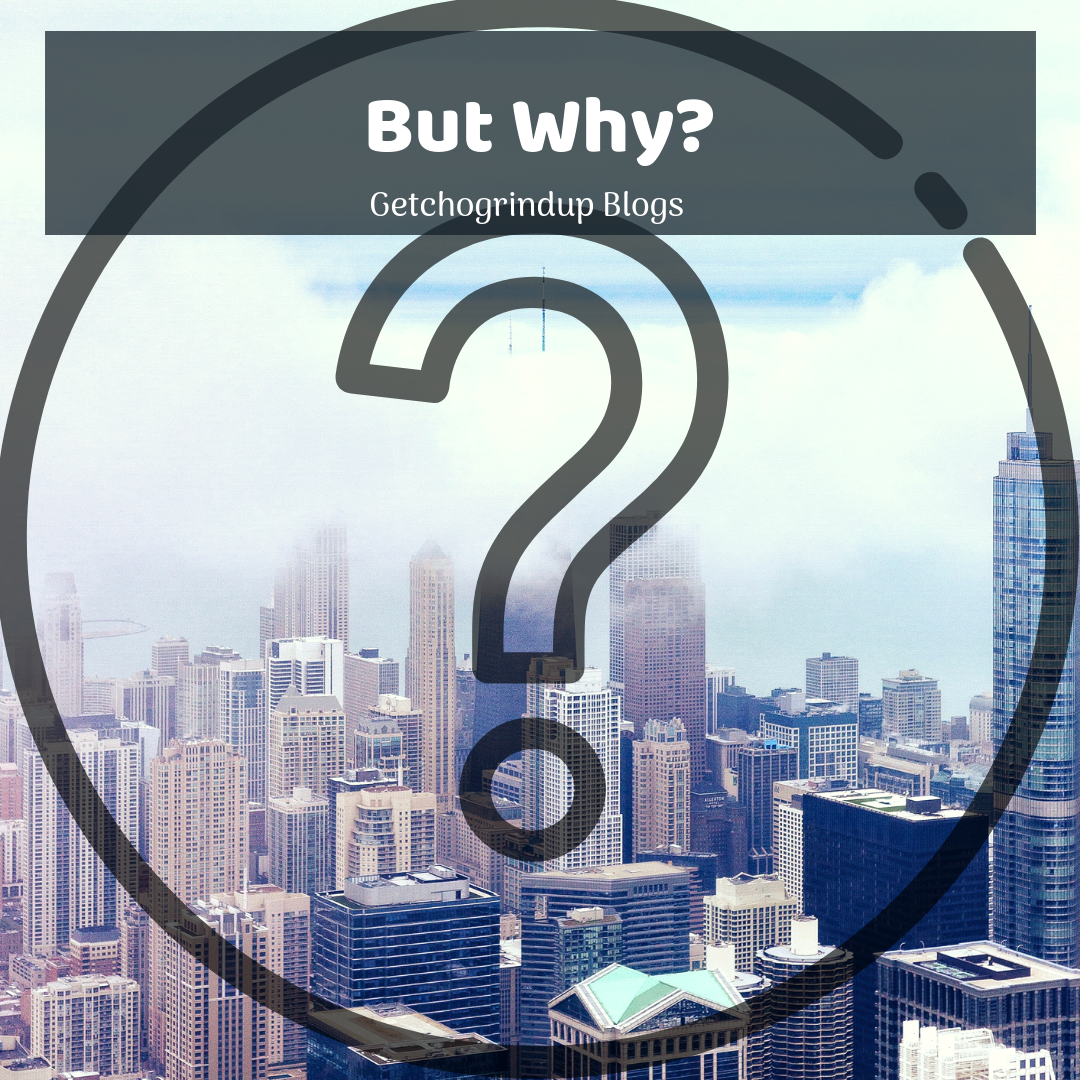 But Why?. Who, What, When, Where, Why and How… | by Getchogrindup Gary ...