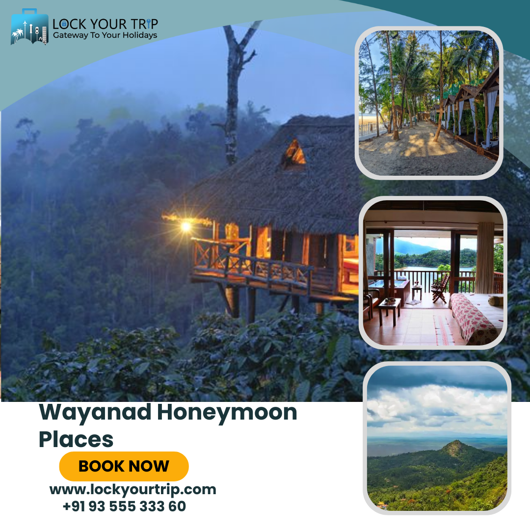 Discover Wayanad Honeymoon Places and Exciting Waynad Zipline ...