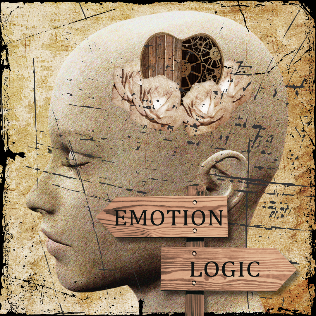 Turbulent Emotions: Navigating Life with Borderline Personality Disorder | by Kali Fox-Jirgl ...