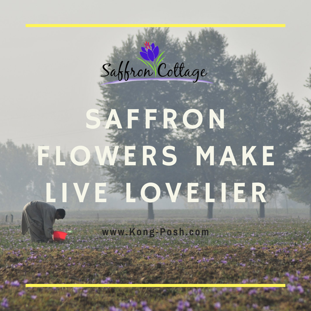 Allure of saffron flowers - Saffron Cottage - Medium