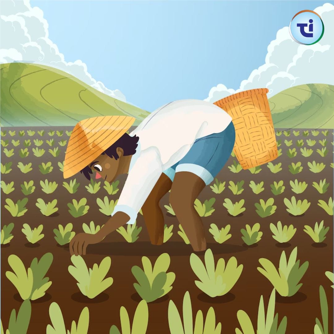 Rabi Crop Is Harvested In Which Month | by The United Indian | Medium