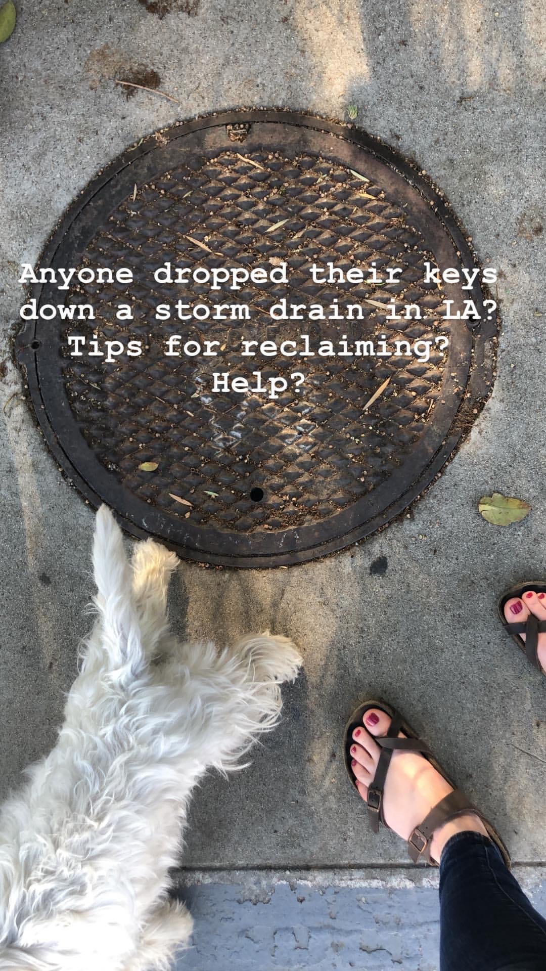 What to do when you drop something important down a storm drain in LA ...