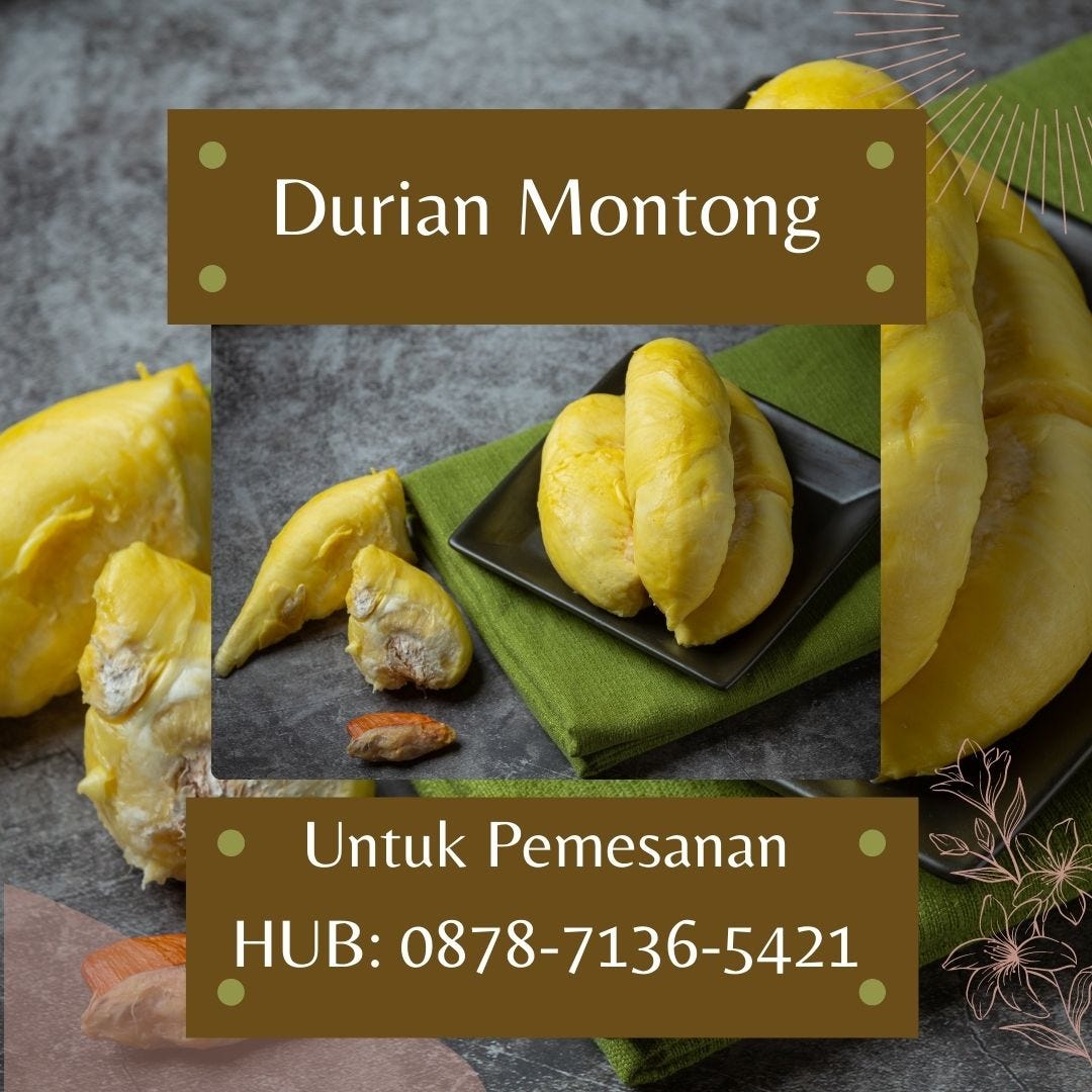 Buah Durian Montong