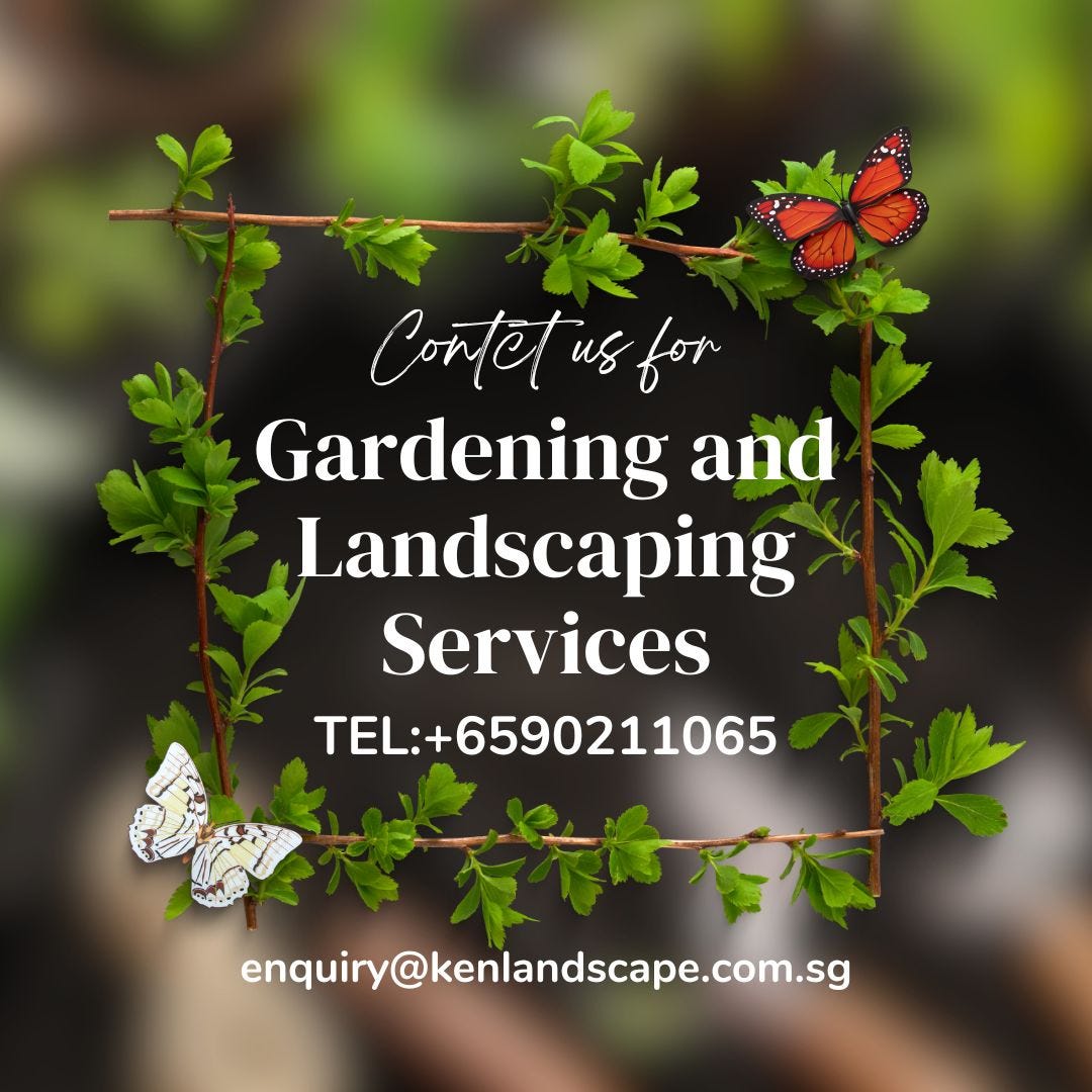 Contact us for Gardening and Landscaping Services | Ken Landscape ...