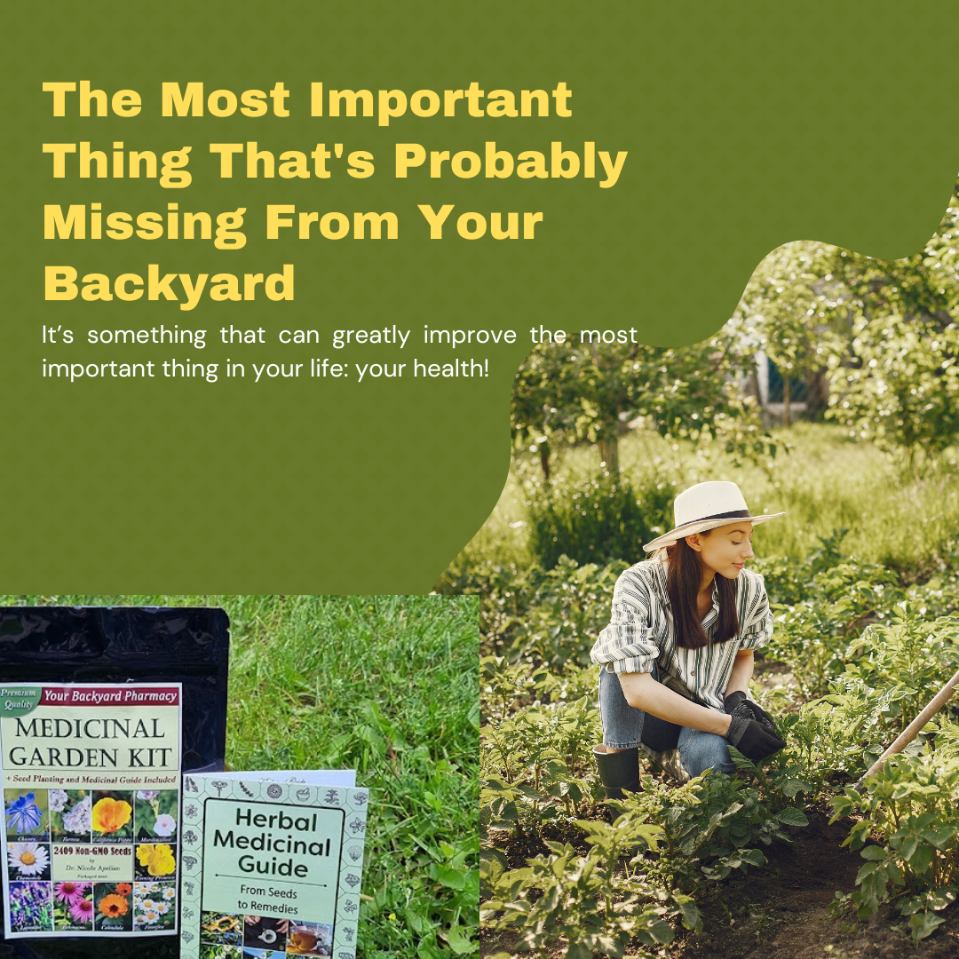 Create Your Own Medicinal Garden Kit: A Beginner’s Guide to Herbal ...