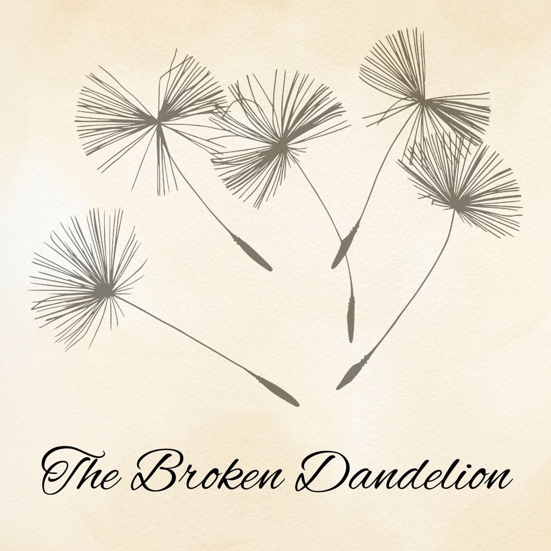 The Broken Dandelion. So this is a personal experience that I… | by ...