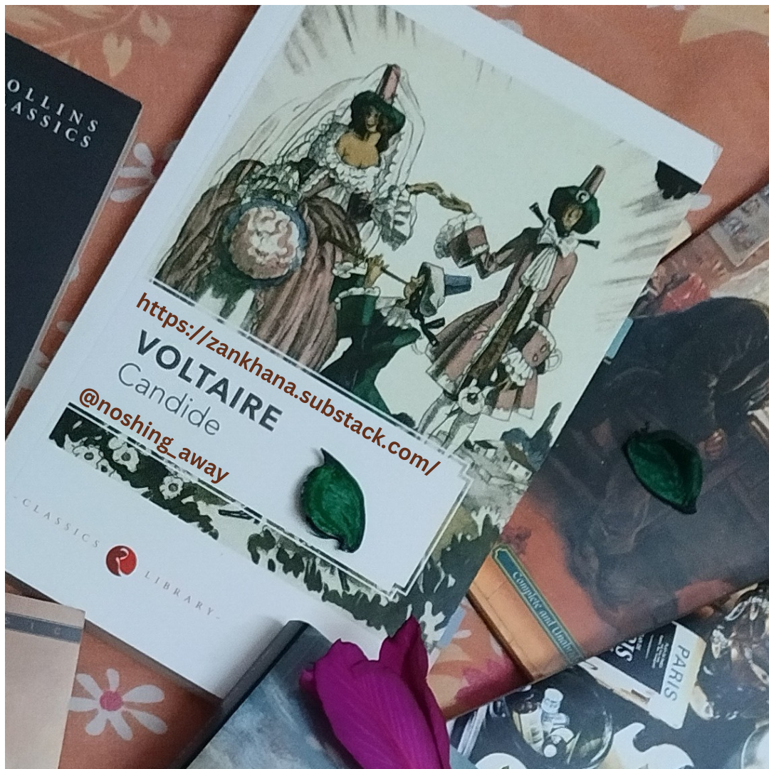 Candide by Voltaire (Book Review) | by Zankhana Desai | Medium