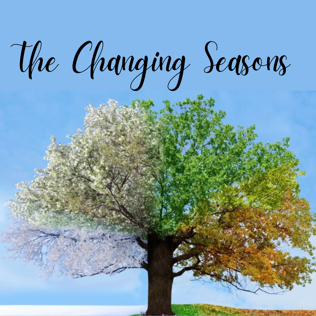 THE CHANGING SEASON. WHAT IF THERE WAS ONLY ONE SEASON? | by Manisha ...