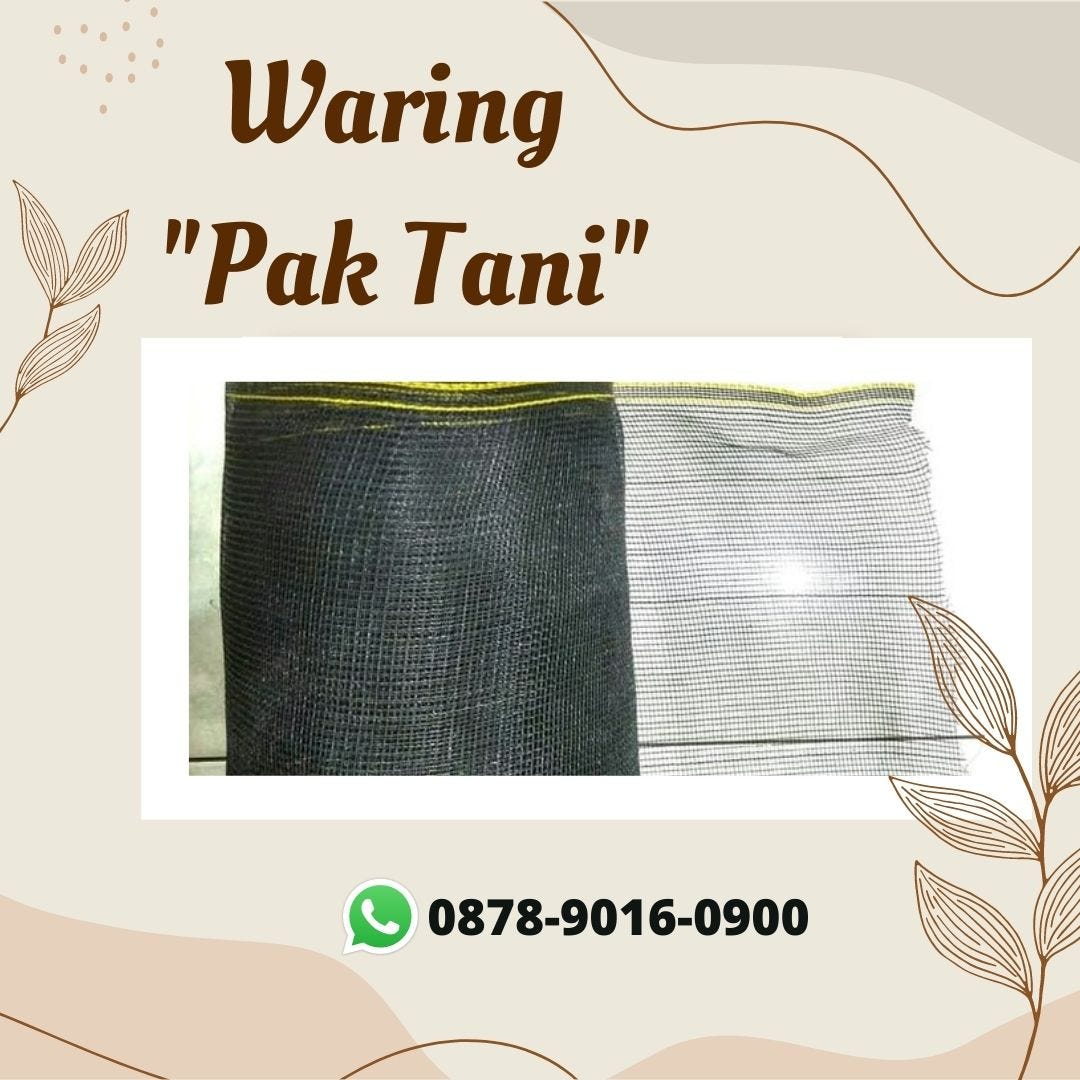 Waring Jangkar - Waringjaring - Medium