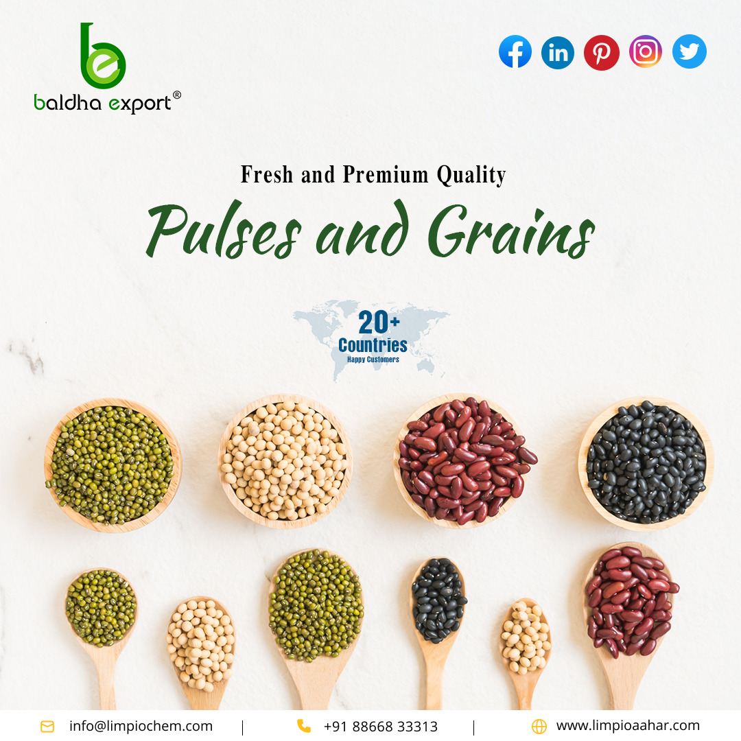 Pulses and Grains - Aharexpo - Medium