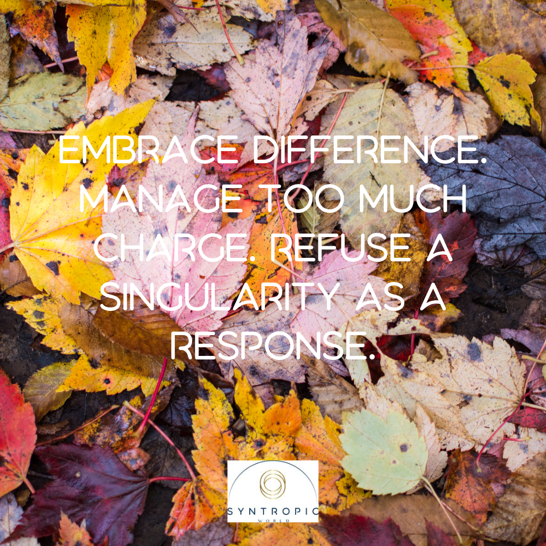 Embrace difference. Manage too much charge. Refuse a singularity as a ...