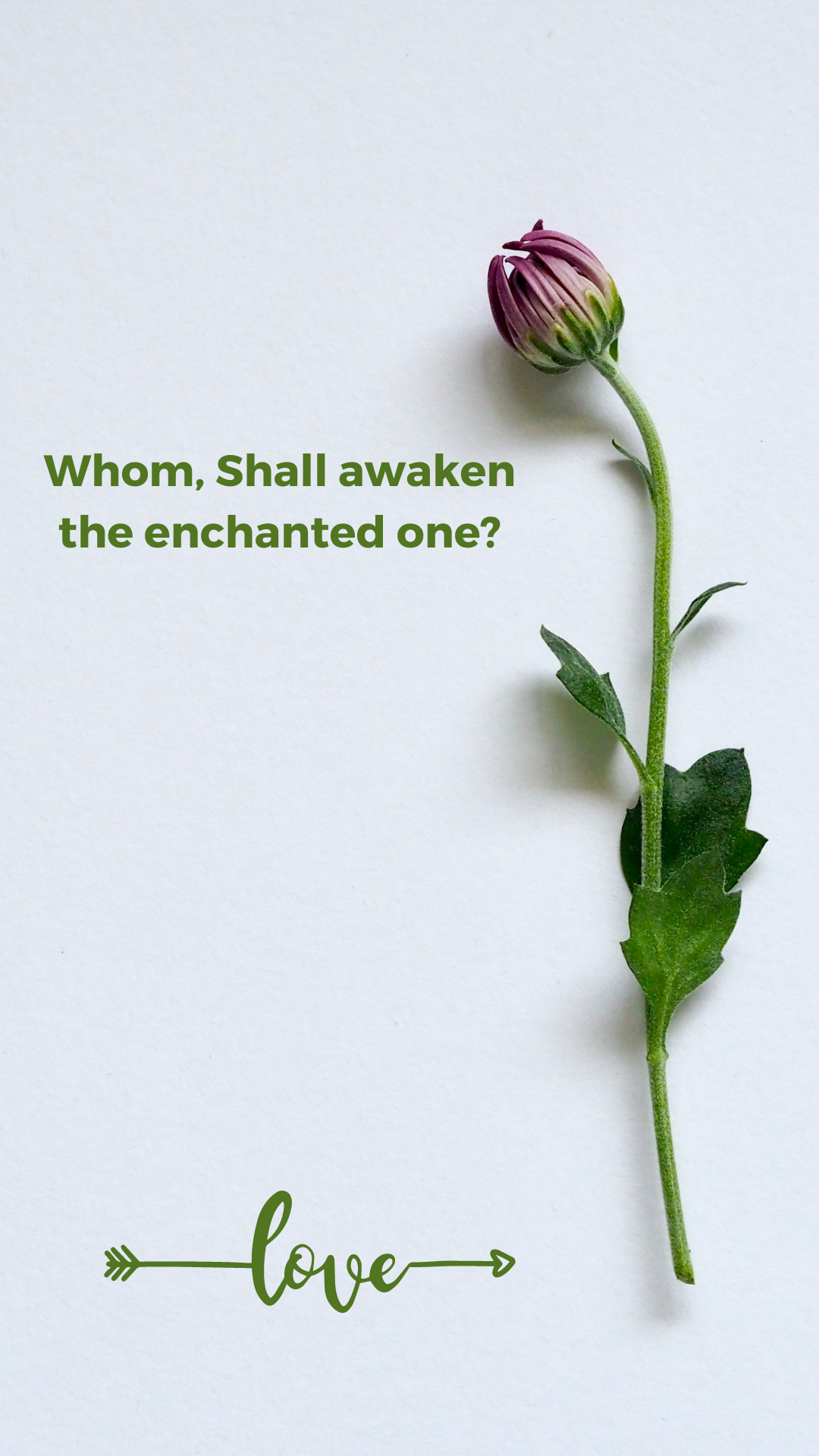 WHOM SHALL AWAKEN THE ENCHANTED ONE - Maryanne F. Ong'udi - Medium