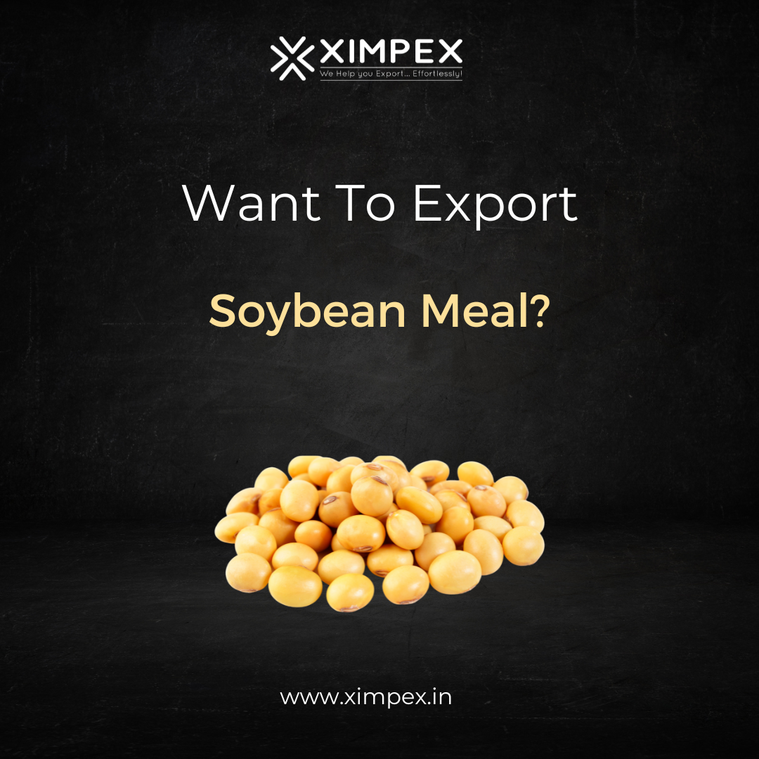 Want to Export Soybean Meal? - XIMPEX - Medium