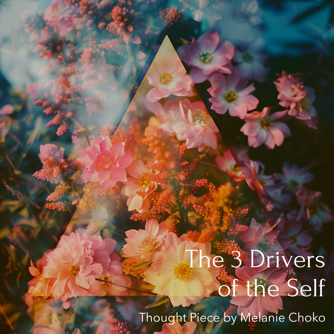 The 3 drivers of the Self that motivate our thoughts, feelings ...