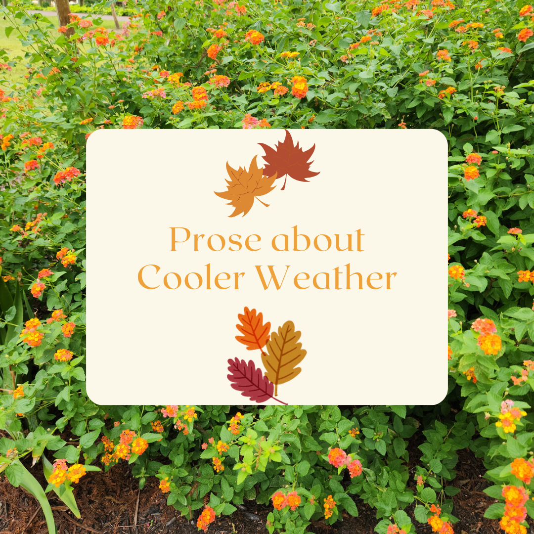 Cooler Weather. Prose on cooler weather that autumn… | by Brittany ...