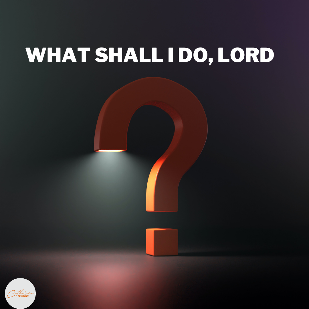 What Shall I Do, Lord?. Unveiling God’s appointment for you! | by ...
